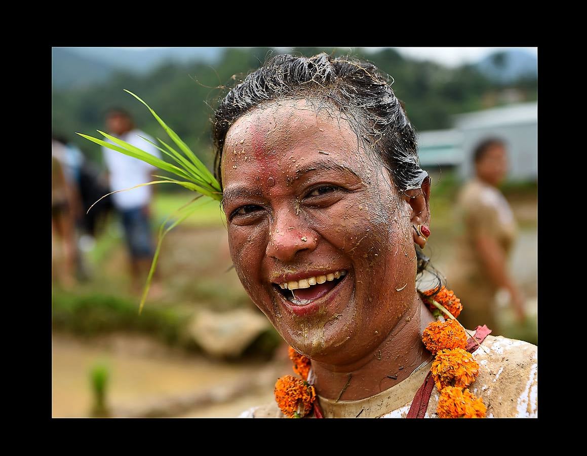 Fotos: La fiesta del arroz | El Correo