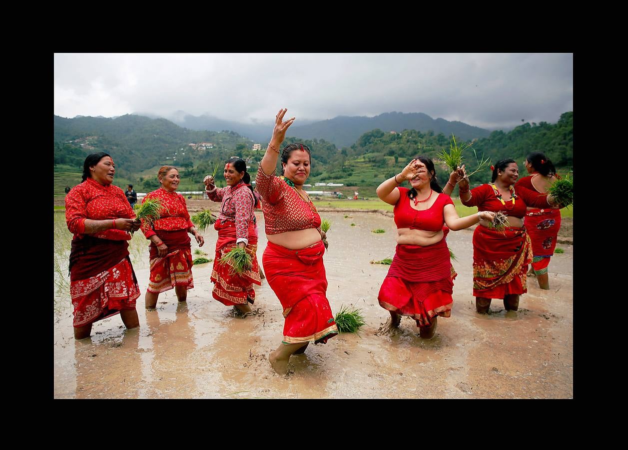 Fotos: La fiesta del arroz | El Correo