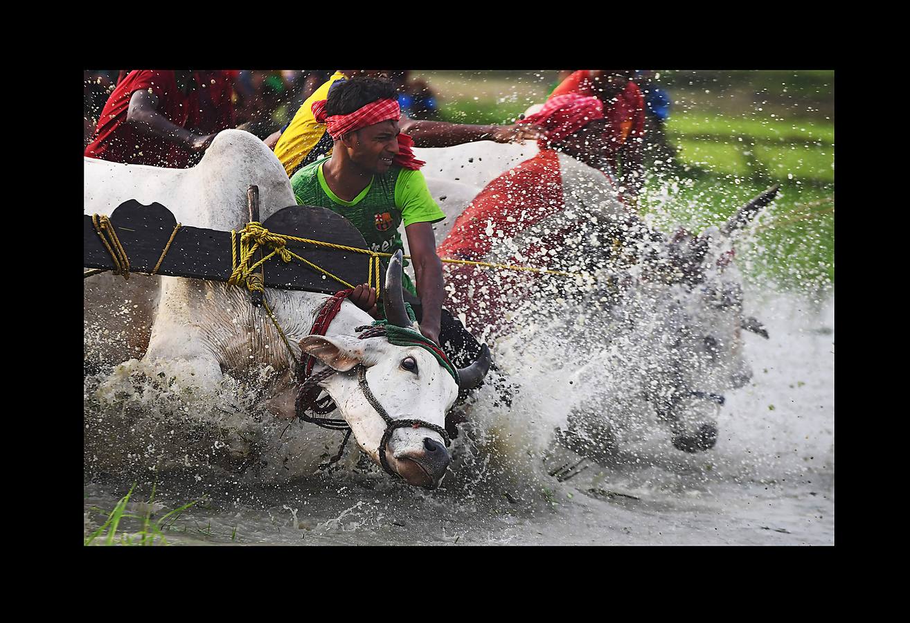 Fotos: La fiesta del arroz | El Correo