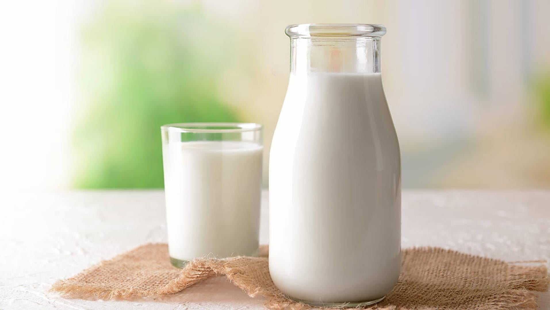 Superalimento: Las propiedades de la leche, claves para los huesos y la ...