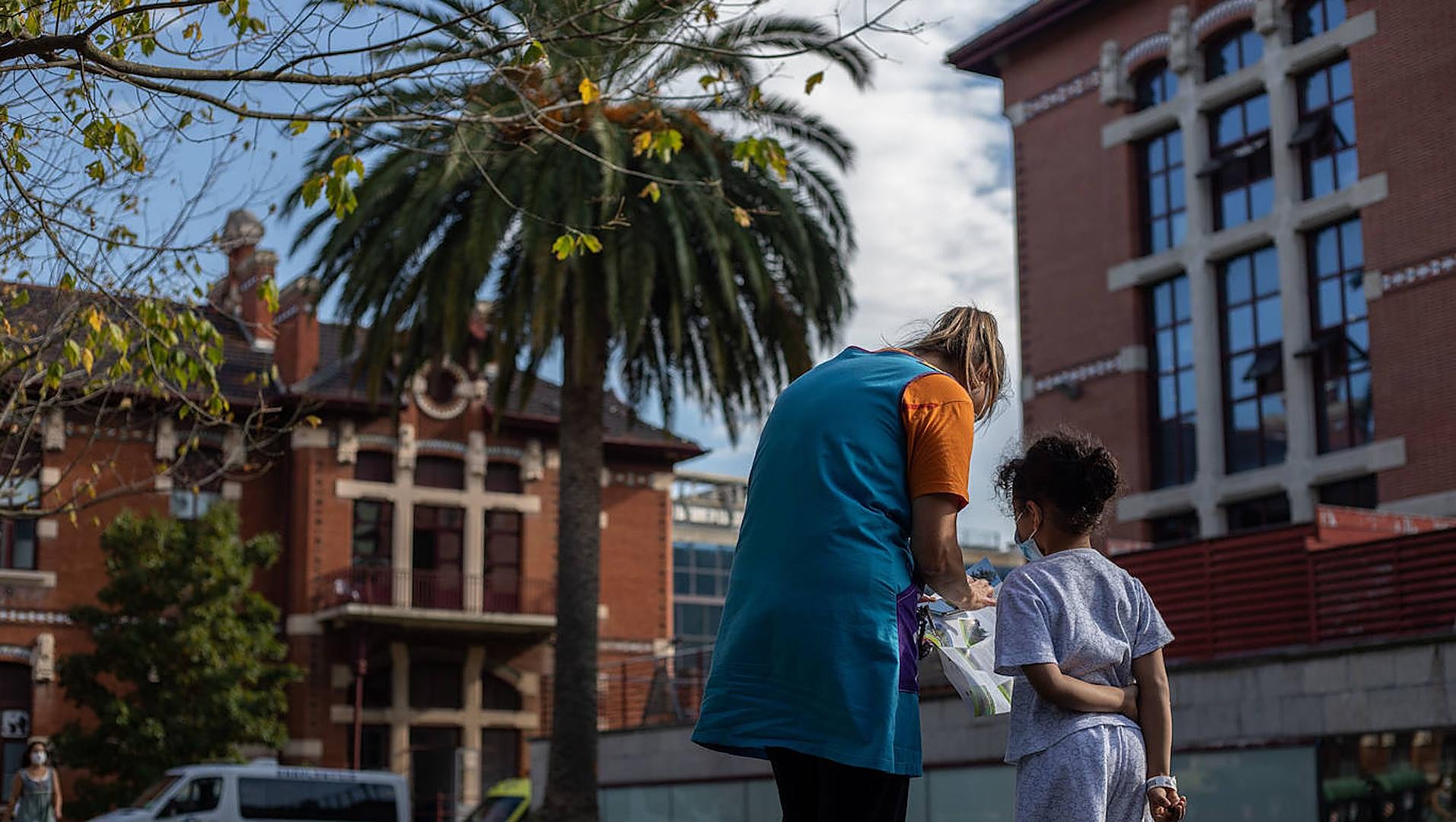 El Hospital de Basurto descubre la «riqueza» de sus árboles | El Correo