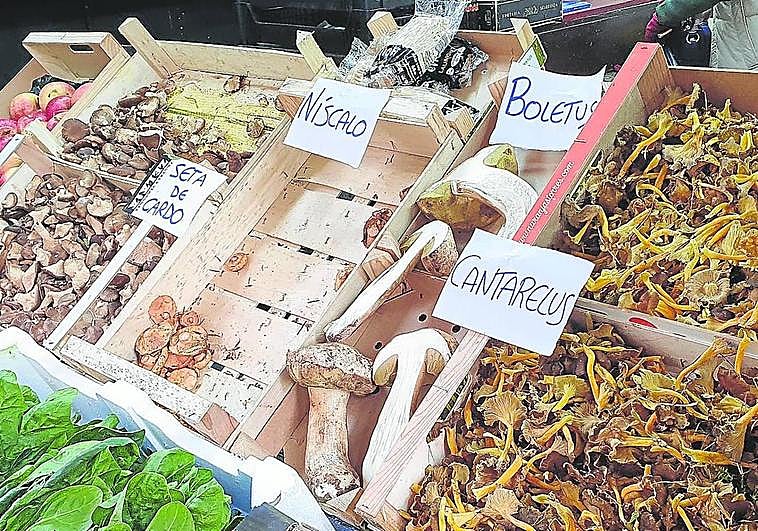 Bozóo es la única localidad de la comarca mirandesa que tiene regulada ...