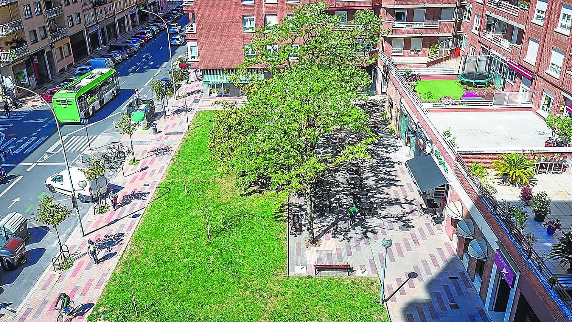 Barrios de Vitoria: Judimendi busca socios para crear su bosque ...