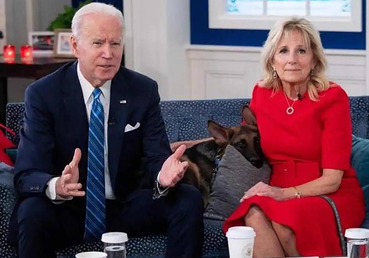 El informe que señala al perro de los Biden: 24 mordiscos a agentes ...