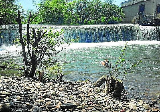 De Lemoa a Bedia, y regreso con el sonido del agua | El Correo