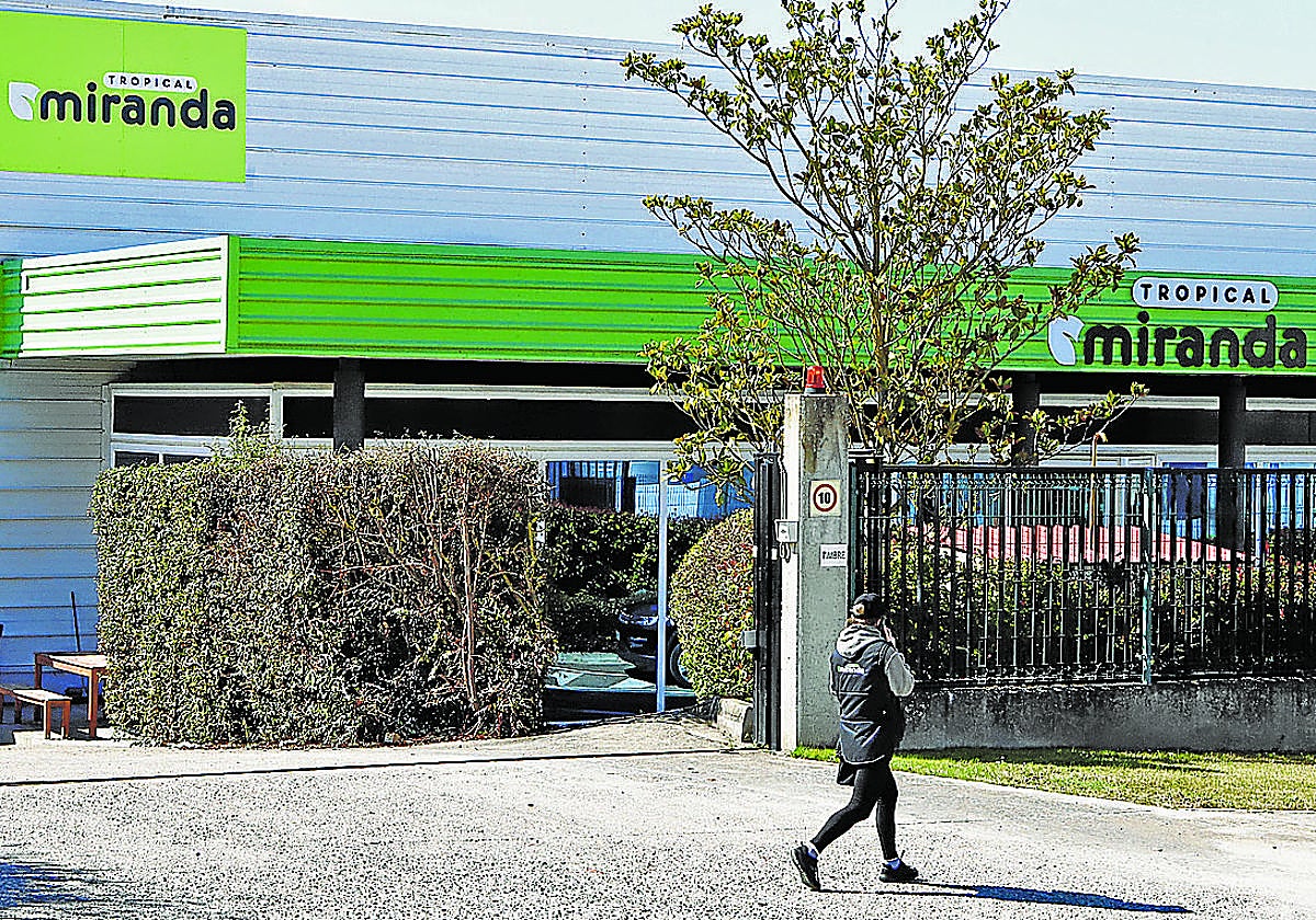 Tropical Miranda cerrará en abril, solo tres años después de llegar a ...