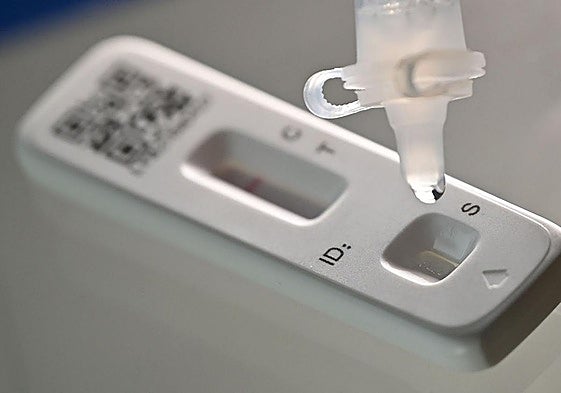 Estos son los síntomas de Pirola, la última variante del covid que ha ...