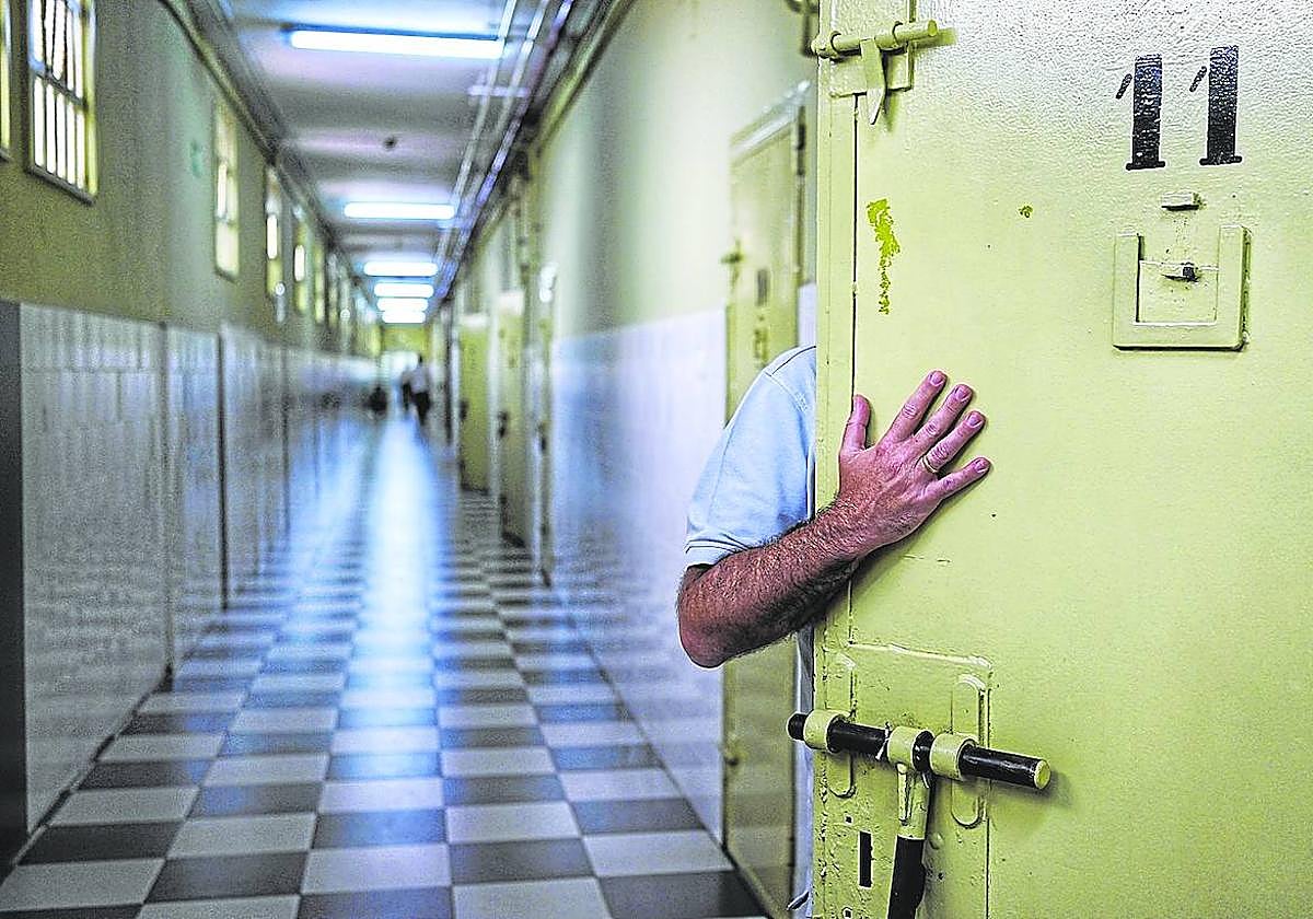 Euskadi tiene casi los mismos presos por violencia machista que por ...