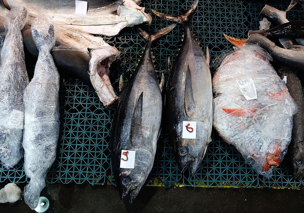 Alerta alimentaria «grave» por la presencia de partículas de vidrio en ...