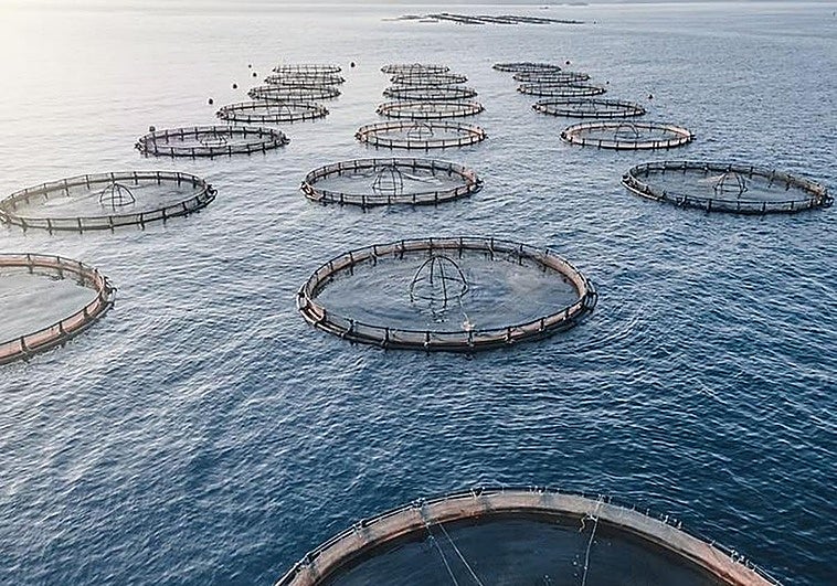 Miss kay komodo onlyfans leak text her, she responded quick