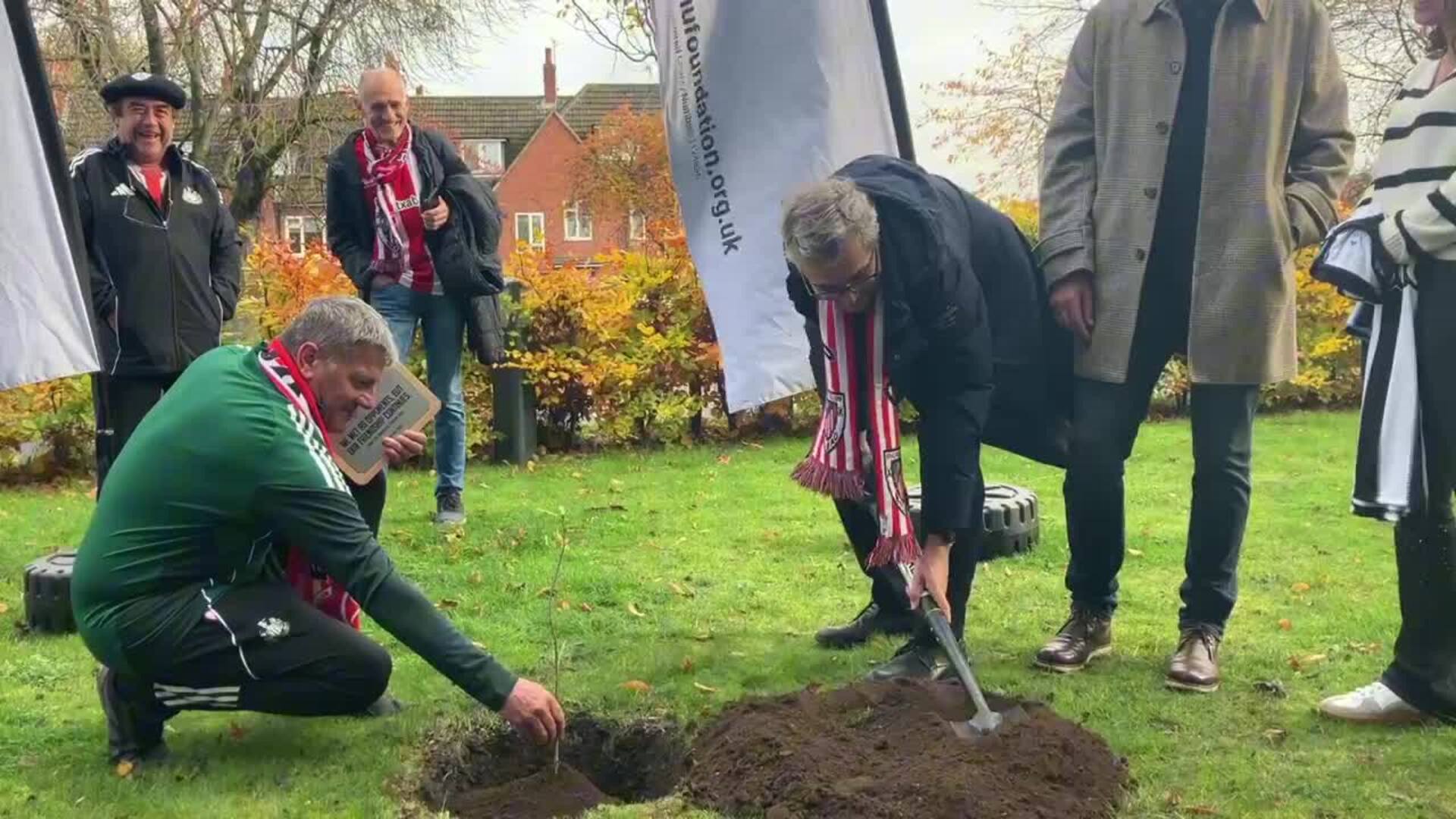 Plantan un retoño del Árbol de Gernika en un jardín de la ciudad ...