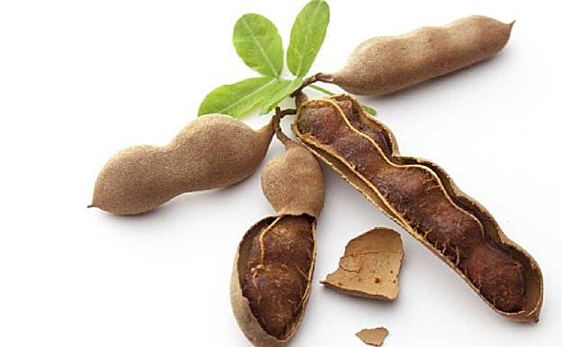 Tamarindo, el dátil de la India | El Norte de Castilla