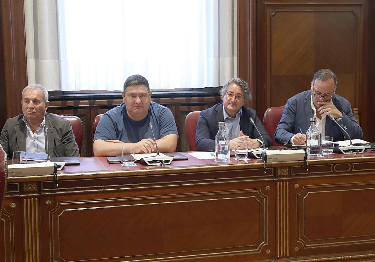 IU, Vox y Vamos Palencia podrán votar por separado en los plenos de la ...