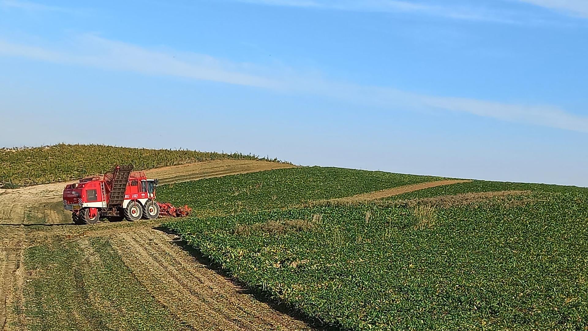 Toro marca el inicio de la campaña remolachera en Castilla y León ...