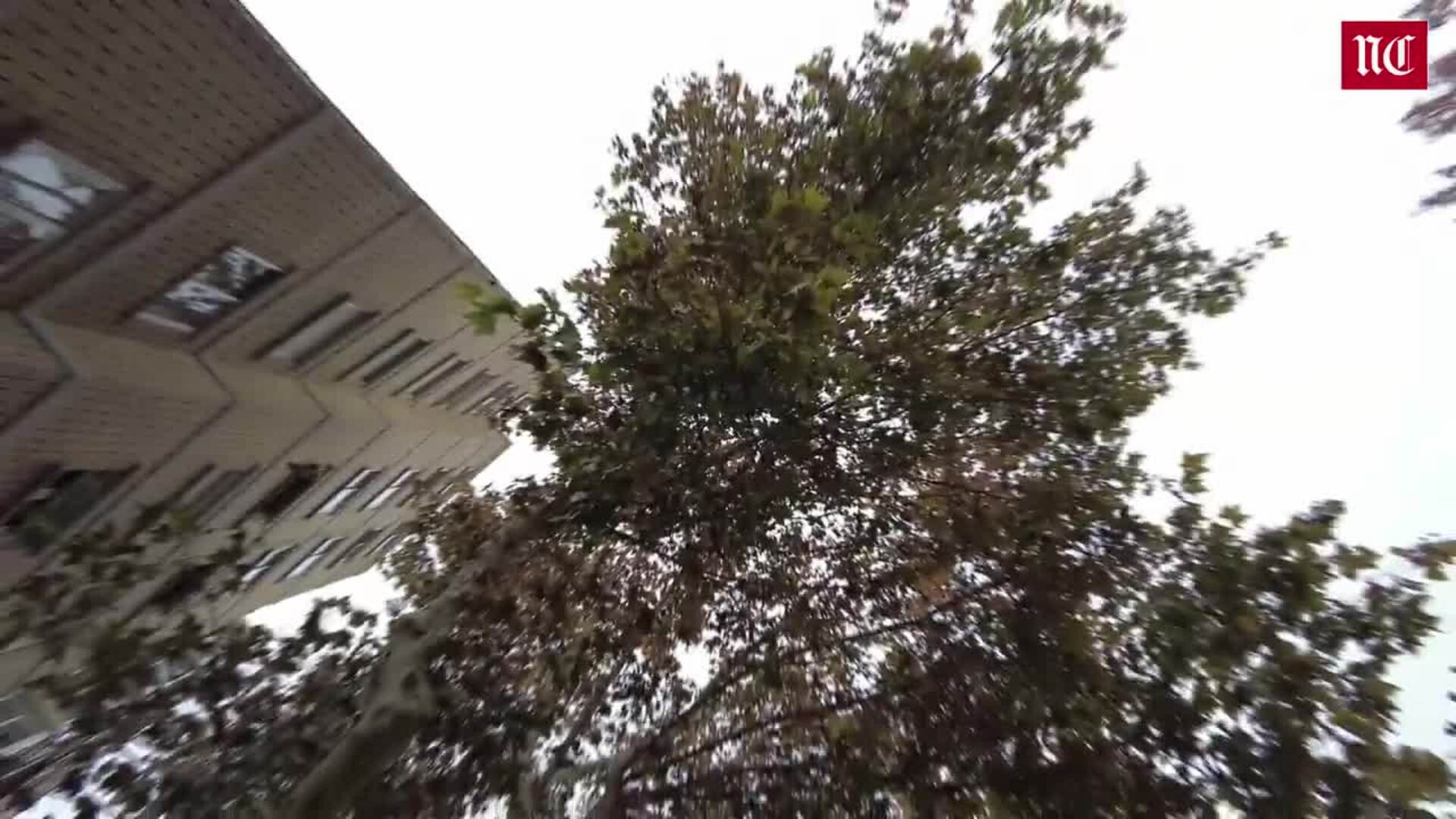 Callejeando por Valladolid: la avenida Ramón y Cajal | El Norte de Castilla Callejeando por Valladolid: la avenida Ramón y Cajal | El Norte de Castilla