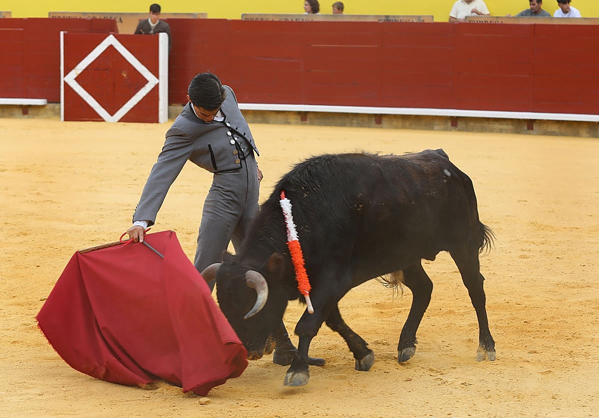 Herederos para las grandes figuras del toreo | El Norte de Castilla