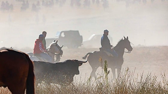 Encierros en Castilla y León, últimas noticias - El Norte de Castilla