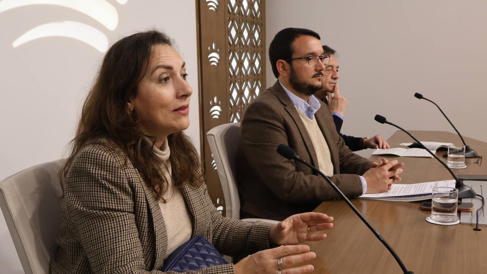 La Diputación de Badajoz abre una línea de subvenciones para la ...