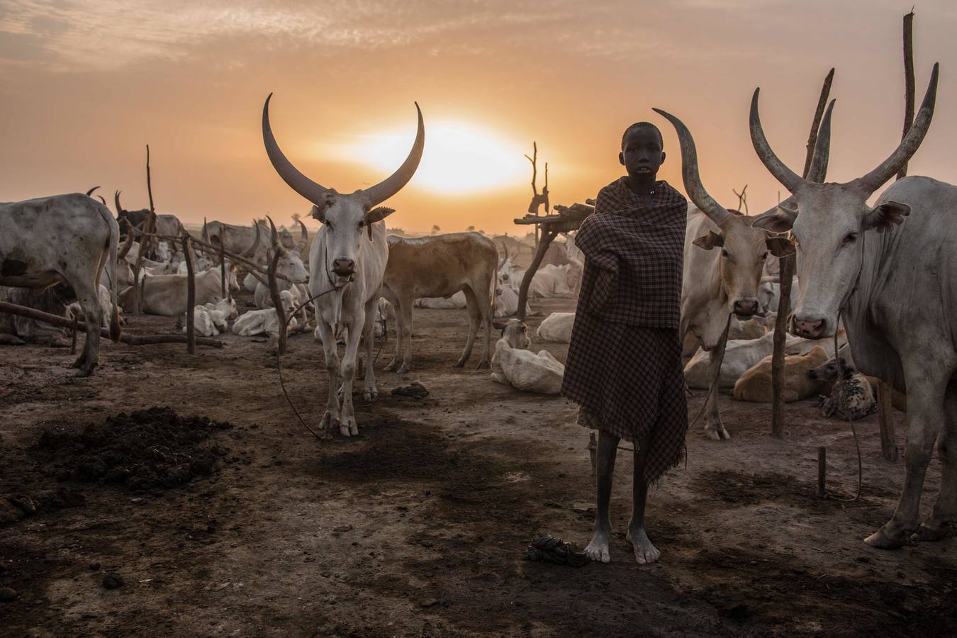 Fotos: La tribu Dinka de Sudán | Hoy