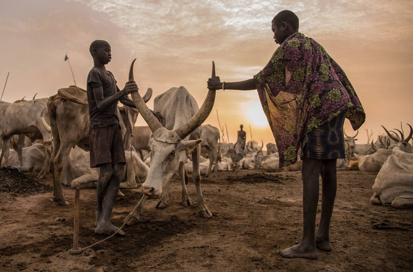 Fotos: La tribu Dinka de Sudán | Hoy
