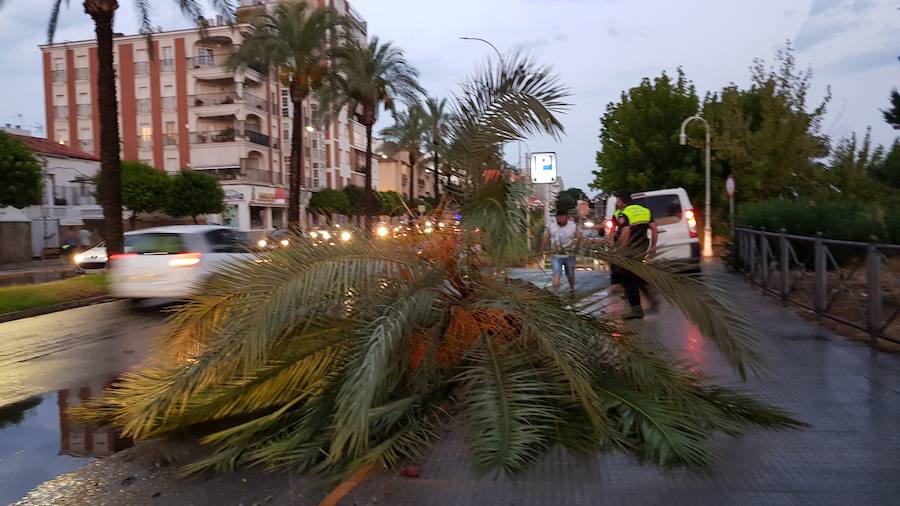 Fotos: Una tormenta afecta a una carpa del recinto ferial de Mérida | Hoy