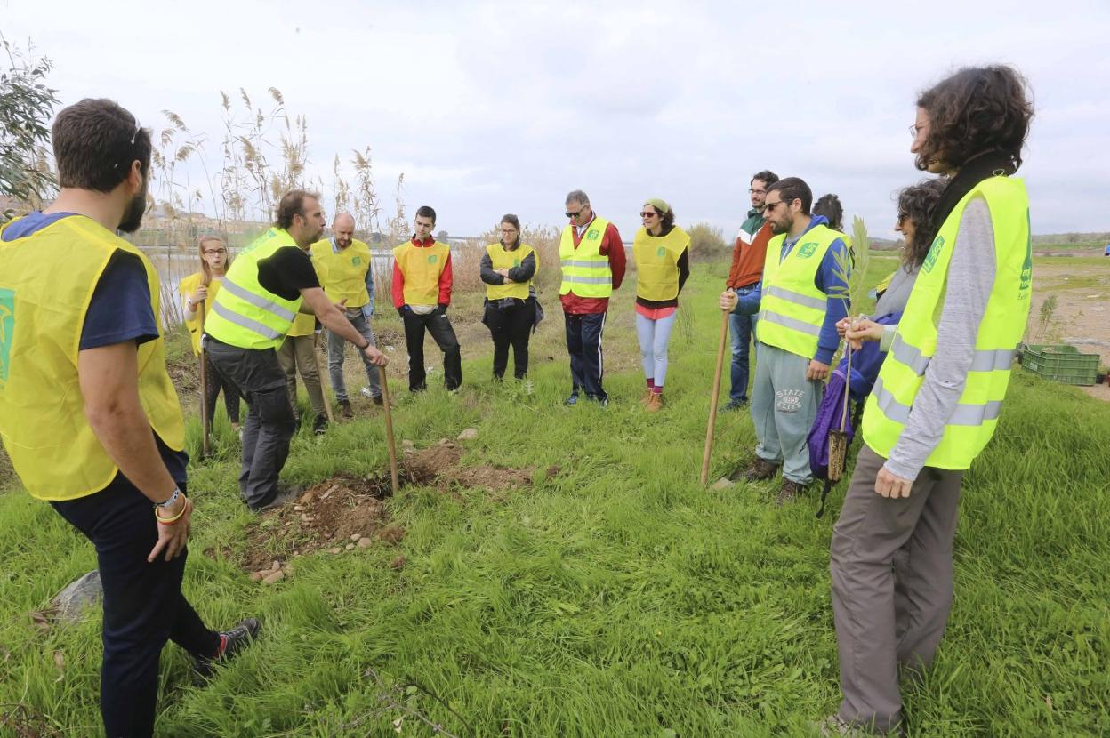 Ecologistas en Acción propugna una mejor gestión del arbolado en la ...