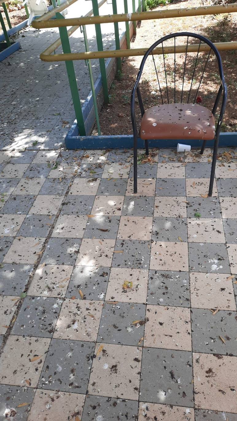 Las 'cagadas de pajaros' en el patio de la residencia se cuela en la ...
