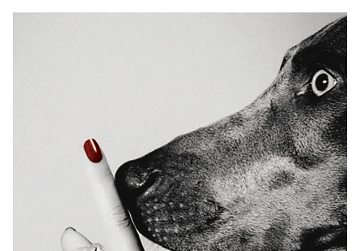 Yo que fui un perro | Hoy