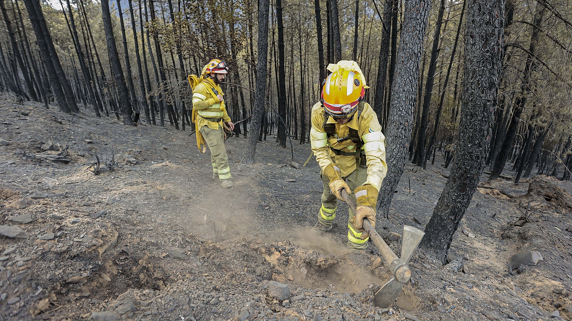 El Infoex se prepara para las nuevas generaciones de incendios ...