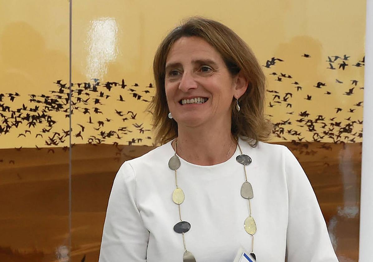 Teresa Ribera participará este lunes en Mérida en un acto electoral ...