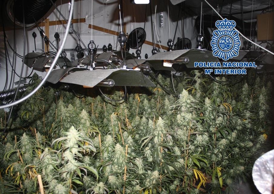 Fotos: Doble operación de la Guardia Civil en Granada contra el tráfico de marihuana | Ideal