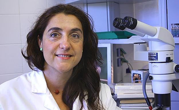 Una investigación del CIB-CSIC experimenta con medicamentos para ...