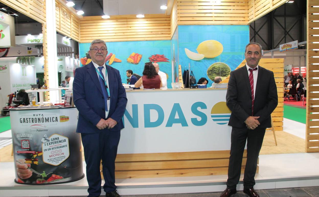 Indasol prevé una campaña especial y buena | Ideal