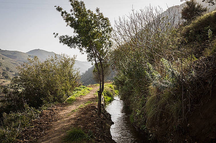 Nueva actuación de conservación en la Acequia Real de la Alhambra | Ideal