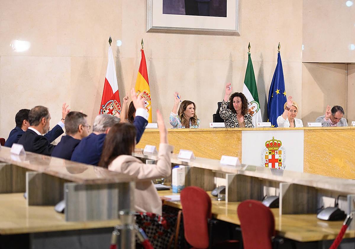 El primer pleno de Almería aprueba la estructura orgánica y las ...