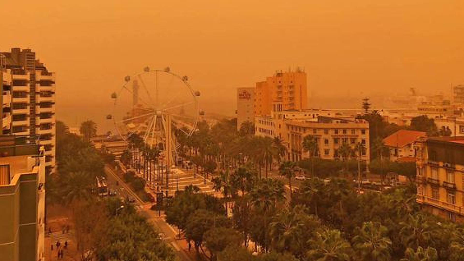 Las calimas son cada vez más y tienen efectos más negativos, según ...