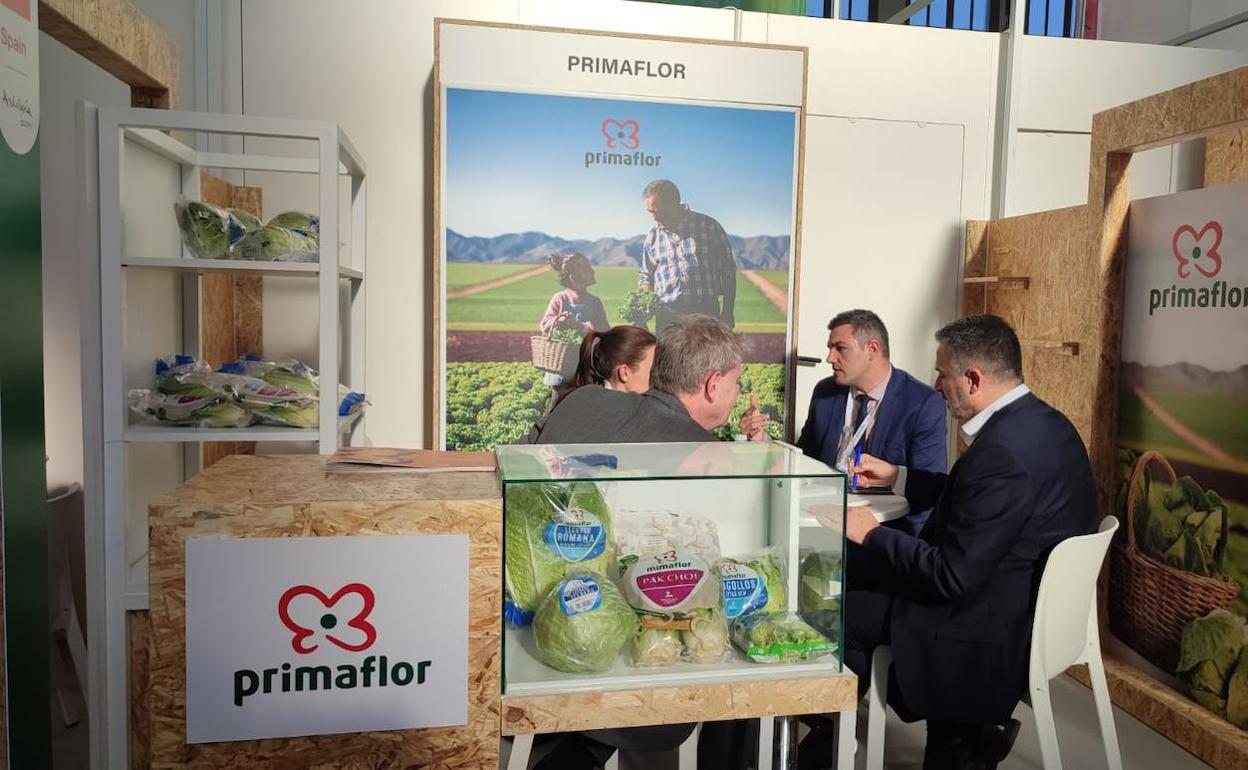 Primaflor muestra en Berlín su renovada imagen de marca | Ideal