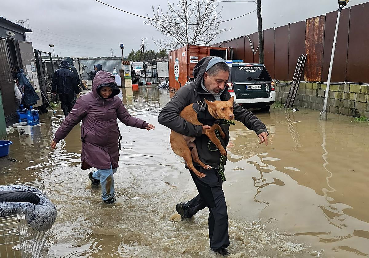Andalucía pide «máxima precaución» ante la borrasca 'Francis' que deja ...