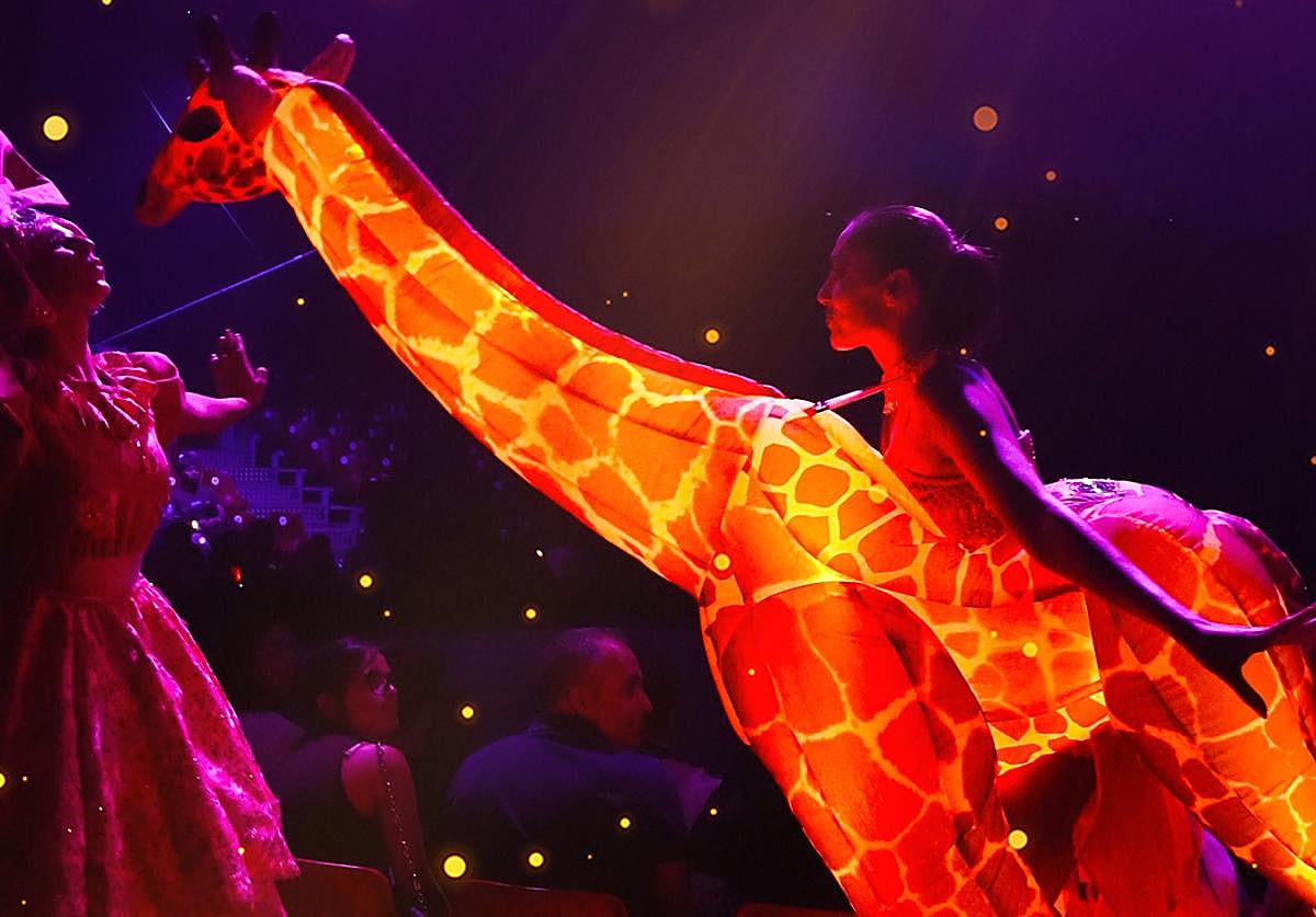 'El Circo de la Luz' llega a Granada: el espectáculo inmersivo que ...