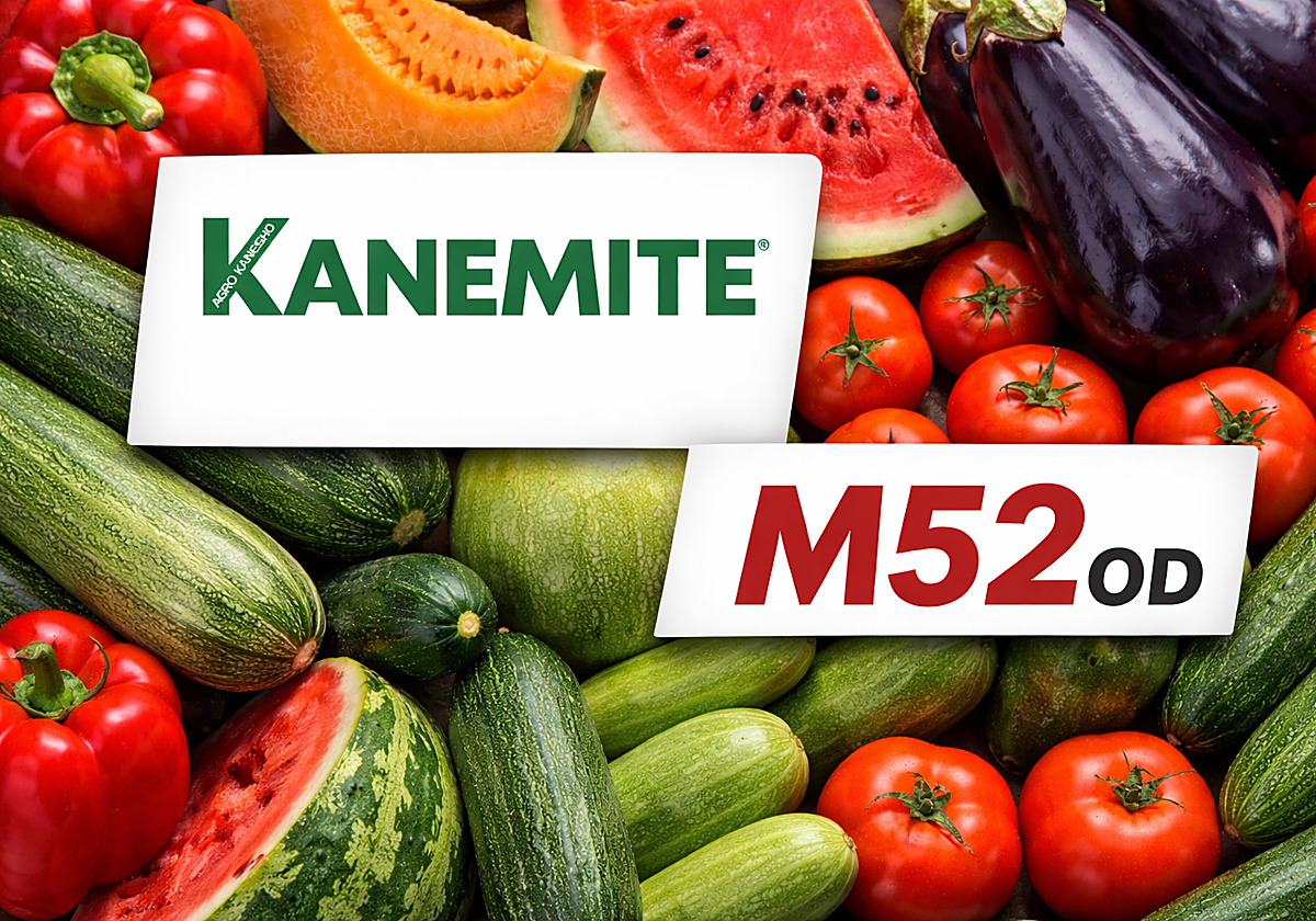 Kanemite y M52: la combinación perfecta contra la araña roja | Ideal