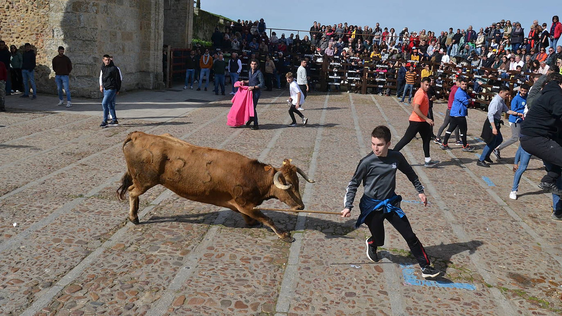 Una entretenida suelta de vaquillas abre el Domingo de Piñata en Ciudad ...