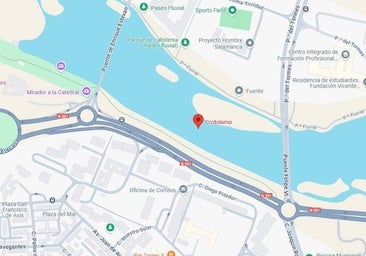 Crotolamo existe y... ¡está en Salamanca! | La Gaceta de Salamanca