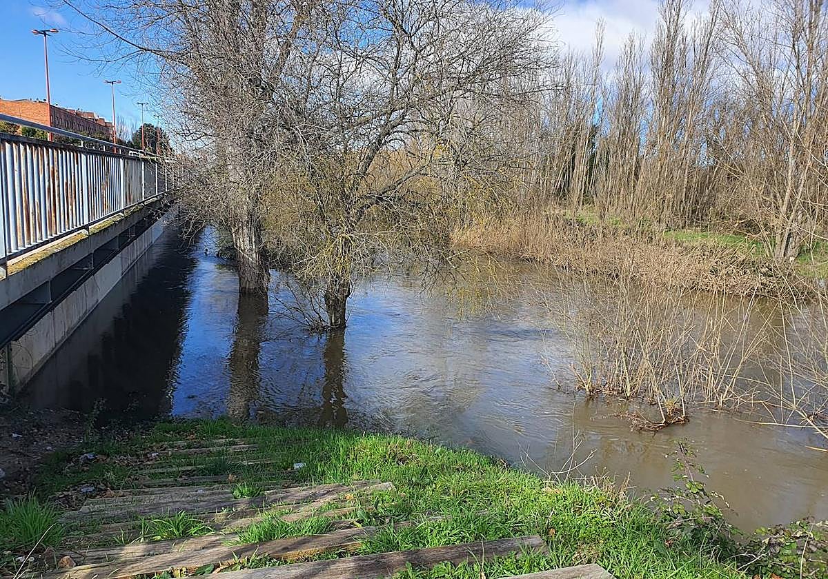 El Tormes engulle el canal de aguas bravas y 'cambia' el paisaje de ...
