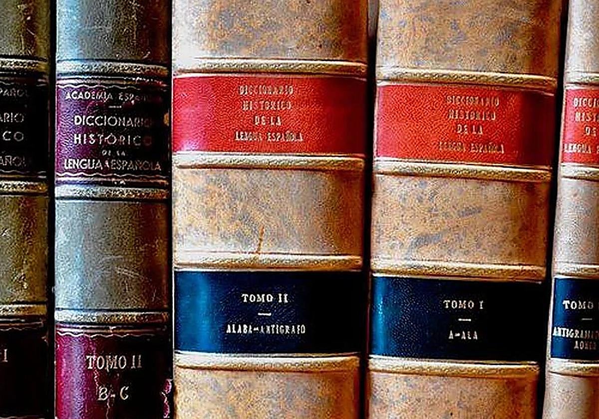 ¿Cree que la RAE debería de revisar el término «castellano-leonés ...