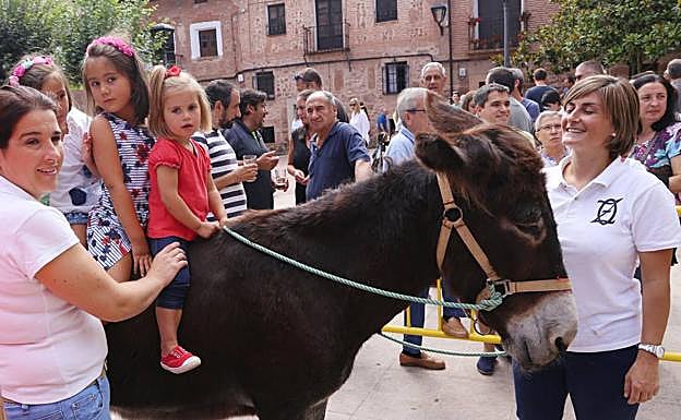 'Perico', el burro más rápido | La Rioja