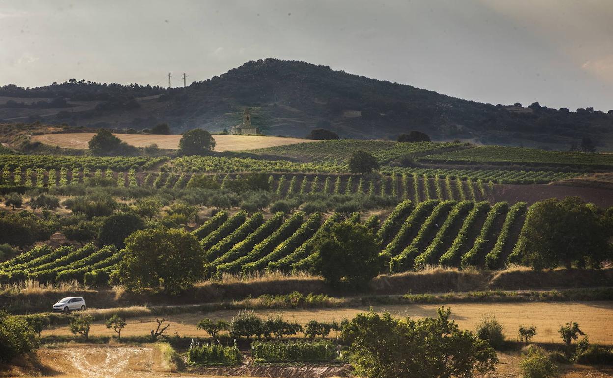 Respeto para la historia de Rioja | La Rioja