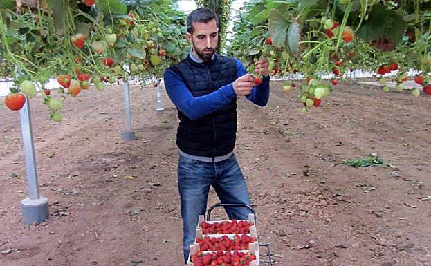 «El premio fue un orgullo y un escaparate» | La Rioja
