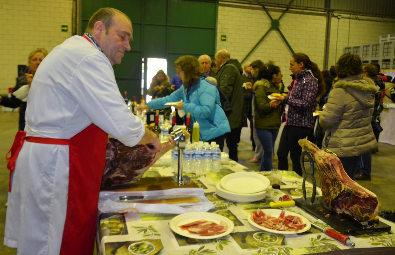 Fiesta de la Pringada del trujal de la cooperativa Los Santos Mártires ...