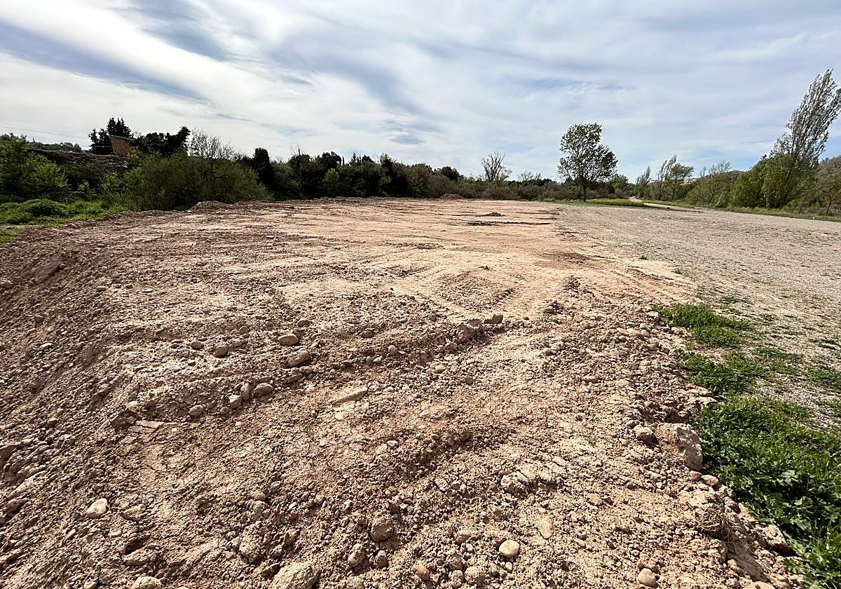 Ecologistas en Acción denuncia la destrucción de un soto de ribera en ...