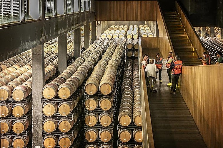 Nace Vinarchy, la nueva compañía mundial de vinos que integra Campo ...